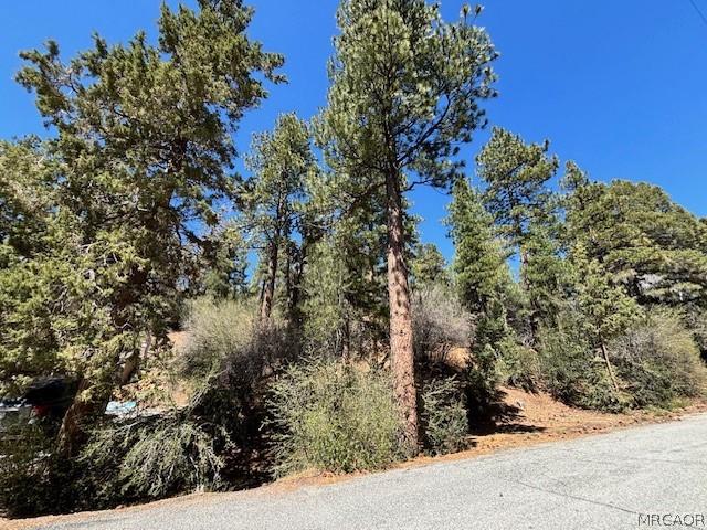 0 E Rainbow Blvd, Big Bear City, CA 92314 | MLS #32600 | Compass