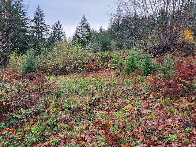 0 E Twanoh Heights Rd N, Belfair, WA 98528 | MLS #2489
