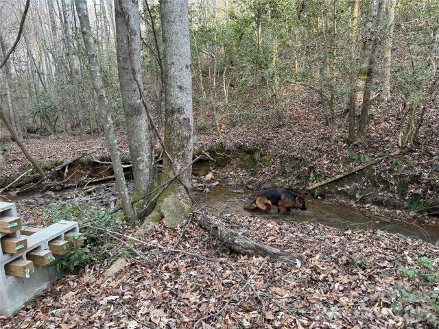 0 Eagle Mills Rd, Hamptonville, NC 27020 | MLS #4375