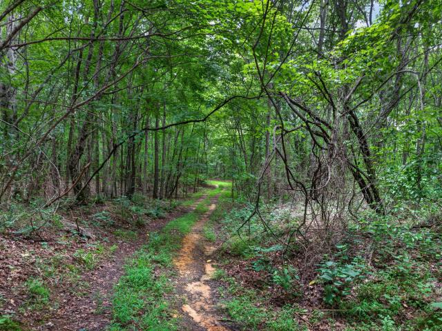 0 Eagle Cliff Rd