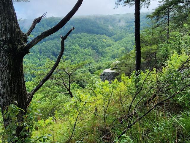 0 Eagle Point Drive