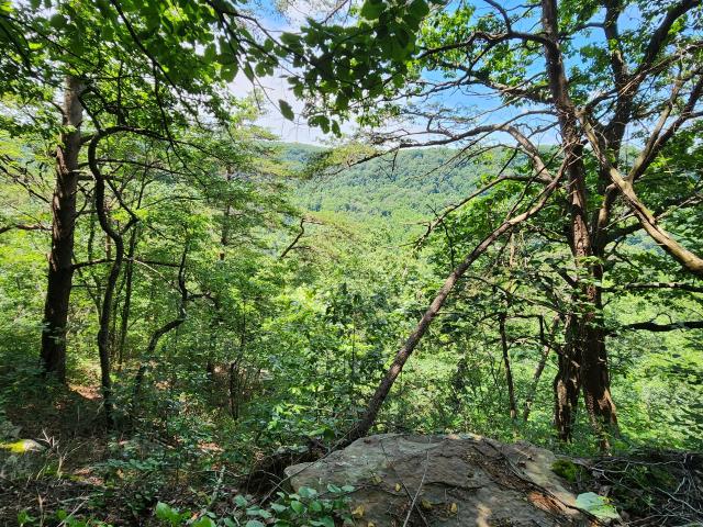 0 Eagle Point Drive