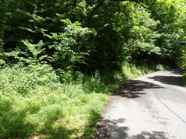 0 East Blue Creek Road
