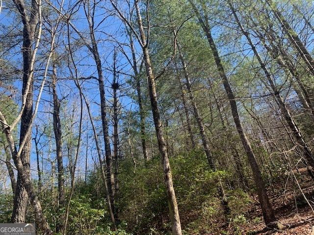 0 East New Hope Road TRACT A