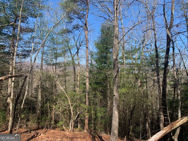 0 East New Hope Road TRACT B