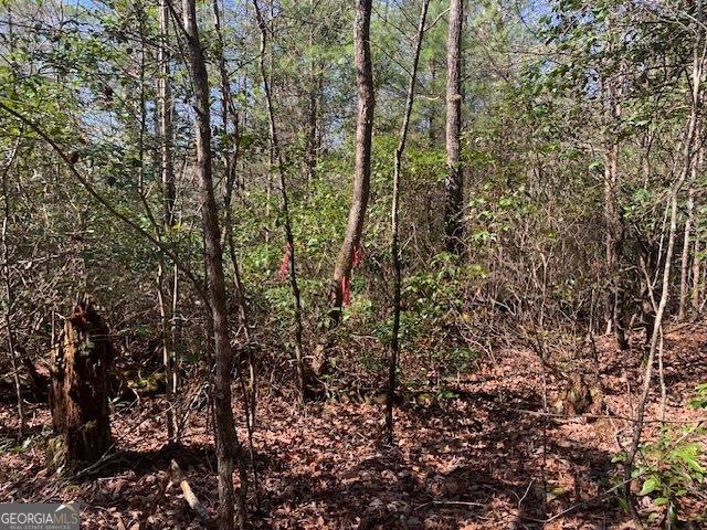 0 East New Hope Road TRACT C