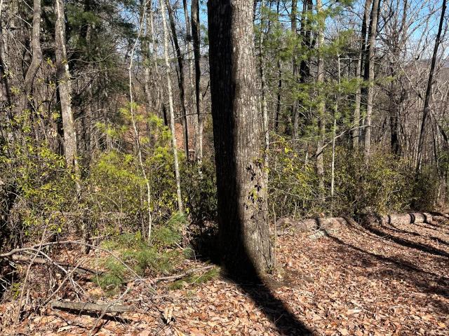 0 Eastman Mountain Rd, Tiger, GA 30576 | MLS #10706