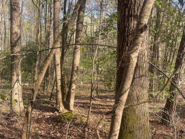 0 Ed Ln, Carthage, NC 28327 | MLS #10156