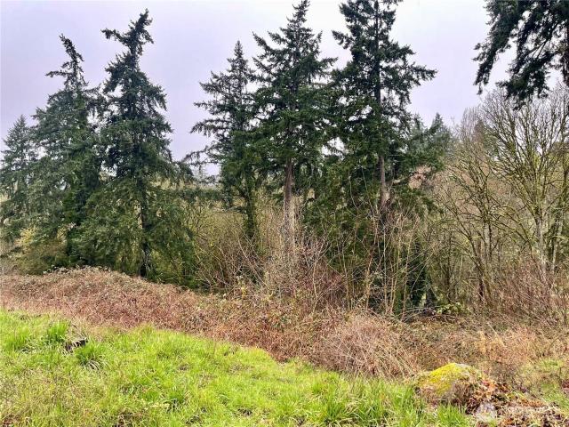 0 Edgewater Dr SW, Lakewood, WA