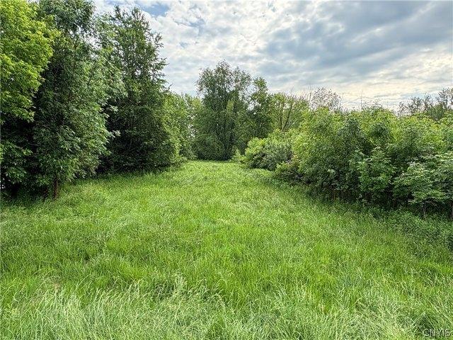 0 Eddy Rd, Canastota, NY 13032