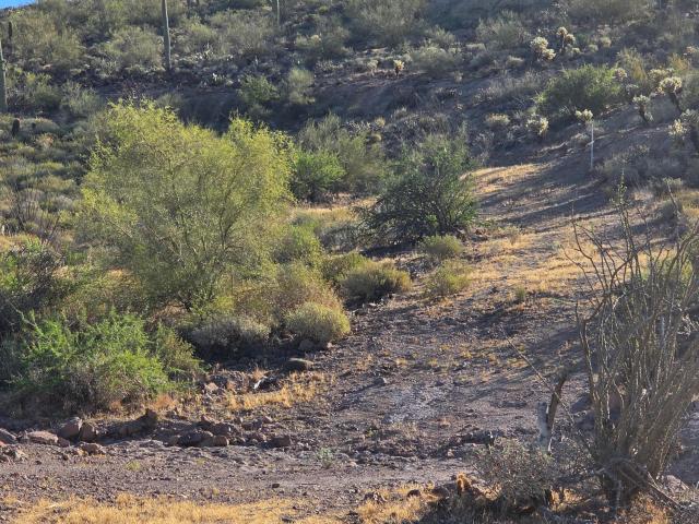 0 Elephant Butte #