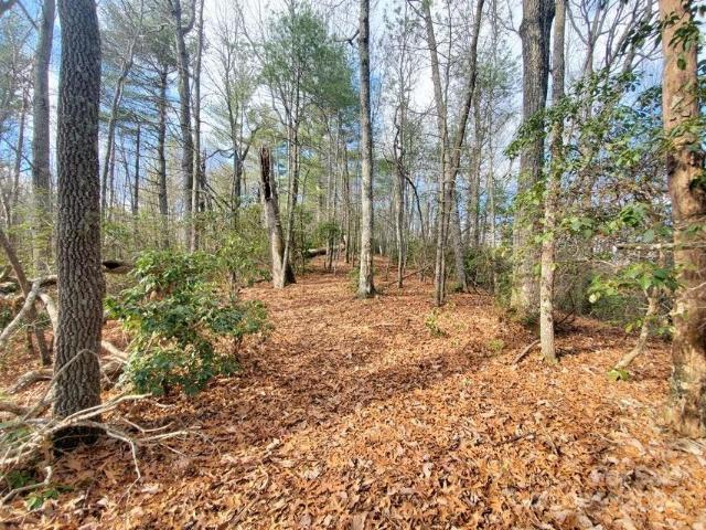 0 Elkins Rd, Unit 20, Bakersville, NC 28705 | MLS #4141