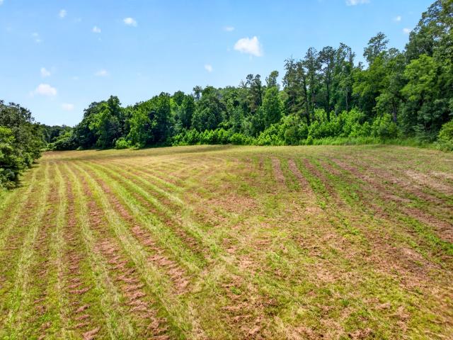0 Ellis Mills Rd