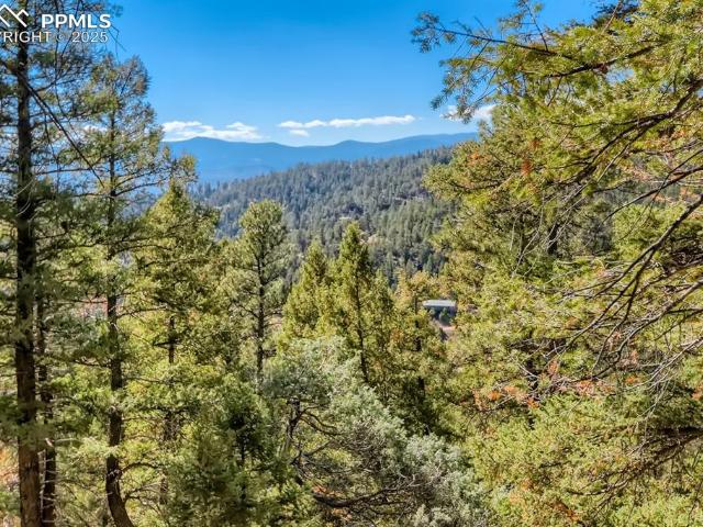 0 Elsie Rd, Conifer, CO 80433 | MLS #7155 | Compass