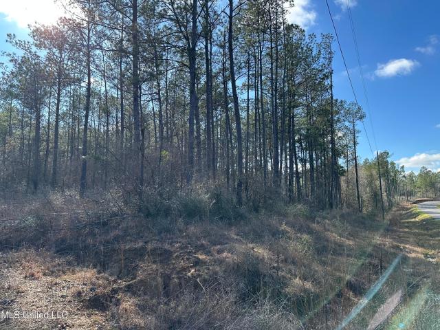 0 Emile Davis Rd, Poplarville, MS 39470 | MLS #4140 | Compass