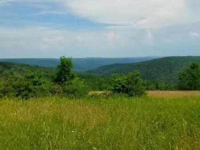 0 ENGLE RD. LINDLEY, NY 14858 Farm For Sale MLS# 274716