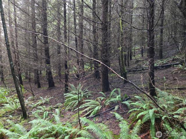 0 End of Workman Creek Road