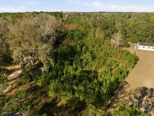 0 Ft Morris Rd, Midway, GA 31320 | MLS #SA346624