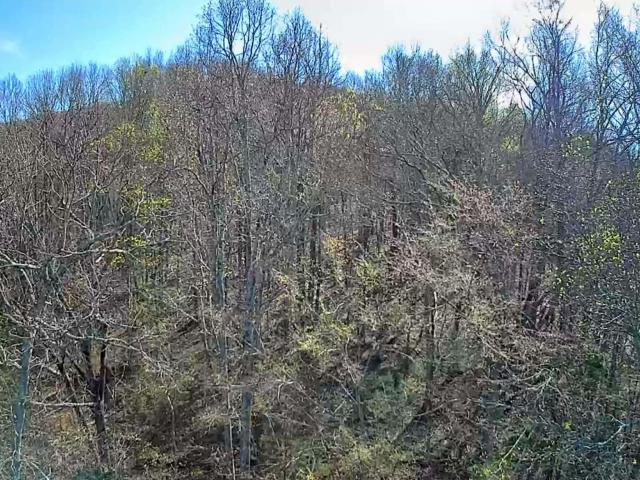 0 F Graham Road