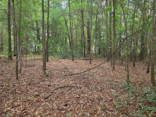 0 Fairway Lane