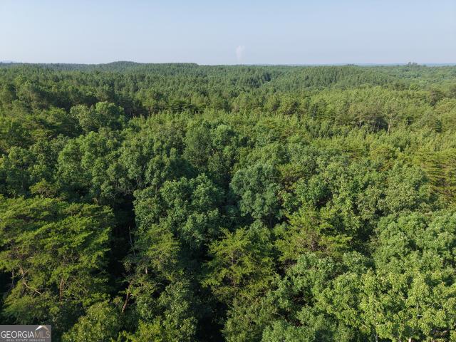 0 Fairmount Hwy, Unit 9614P, Fairmount, GA 30139 | MLS #10489