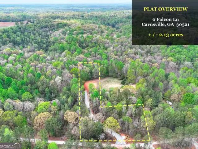 0 Falcon Ln, Carnesville, GA 30521 MLS 10495019