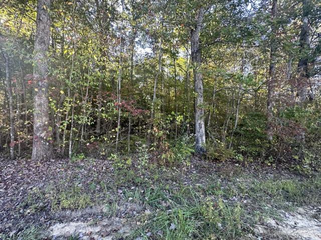 0 Falling Leaf Rd