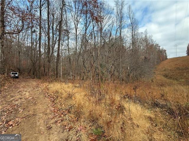 0 Falling Pines Road