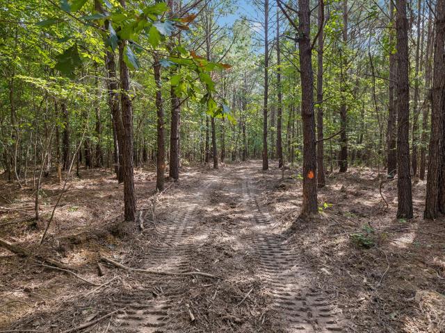 0 Falls Branch Road