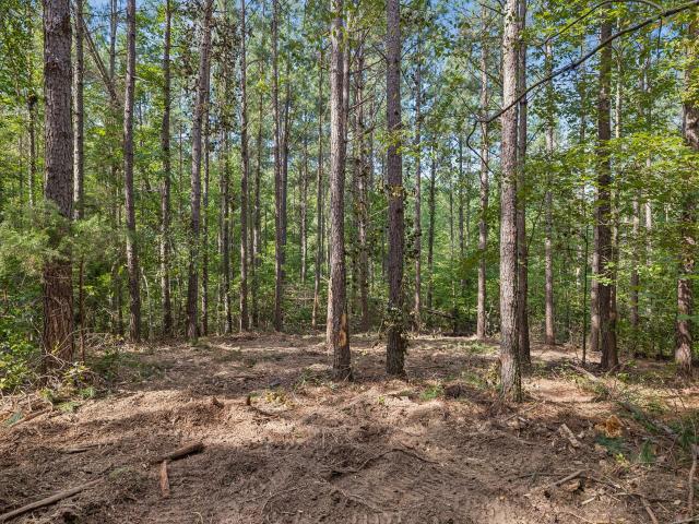 0 Falls Branch Road