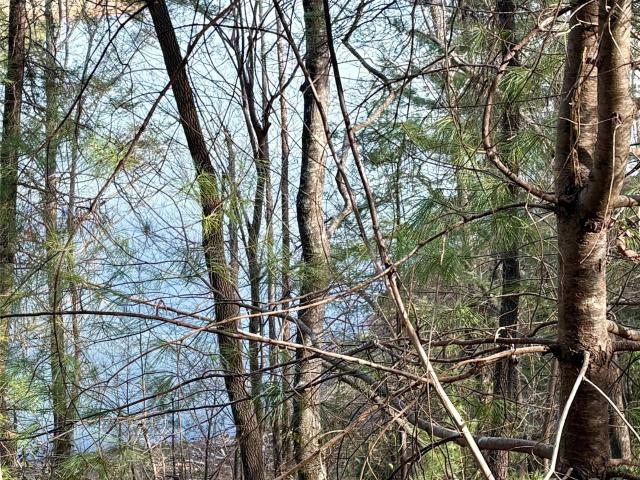 0 Falls View Trail # lot 23A
