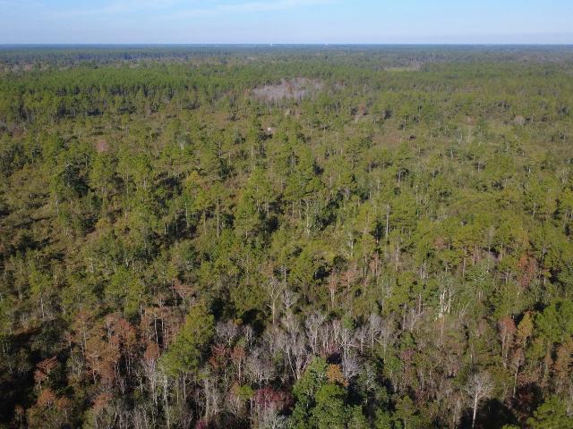 0 Fargo Highway, Homerville, US, GA