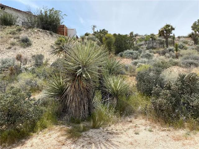 0 Farrelo Rd, Yucca Valley, CA 92284 | MLS #EV24074 | Compass