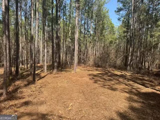 0 Faulkner Rd LOT #2, Monticello, GA 31064 MLS 10411824