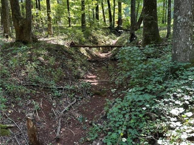 0 Fears, Madison, GA 30650 | MLS #CL344238