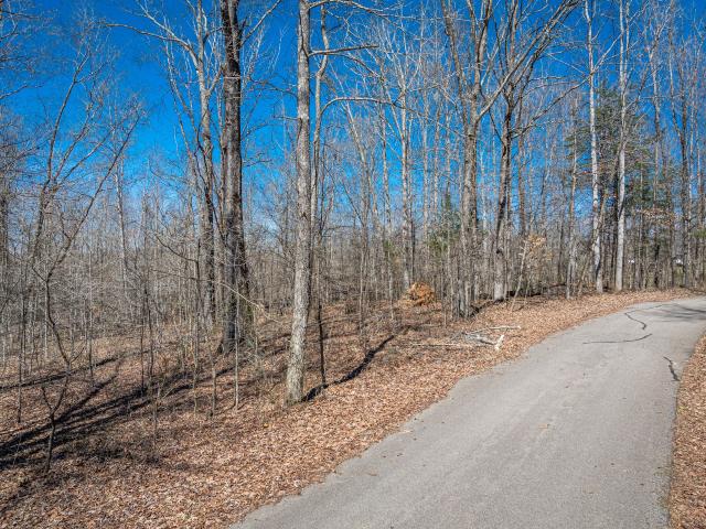 0 Featherfoot PKWY LP