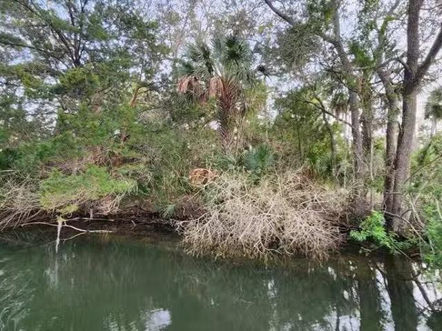 0 Felker Dr, Weeki Wachee, FL 34607 MLS T3512342
