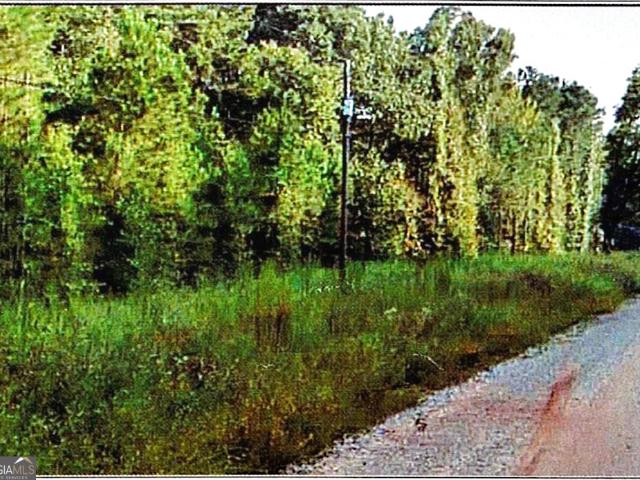 0 Felton Mcmichael Rd & Hayes Landlot 090 Road