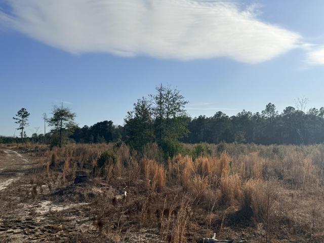 0 Festival Trail Road