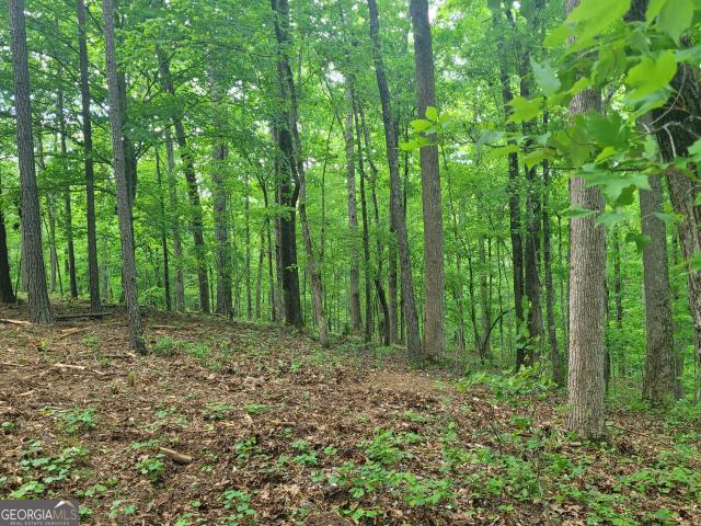 0 Fincherville Road TRACT #3