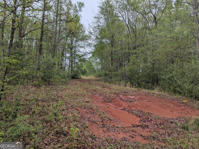 0 Fischer Spur, Newnan, GA 30265 | MLS #10495 | Compass