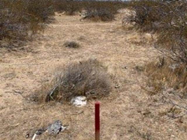 0 Fisher Ave, Rosamond, CA 93560 | MLS #SR25154