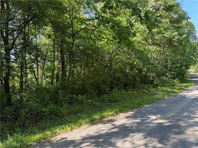 0 Fisher Ridge Rd, Tract 6 Road