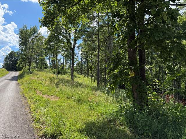 0 Fisher Ridge Rd, Tract 1 Road