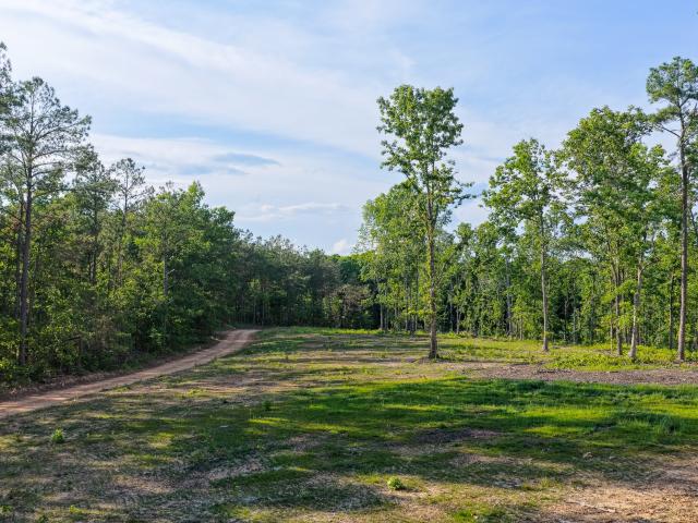 0 Firetower Rd