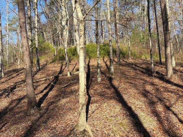 0 Fire Tower Rd, McDonald, TN 37353 | MLS #1530