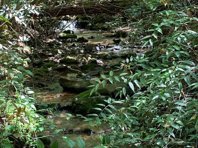 0 Fireside River Trace West