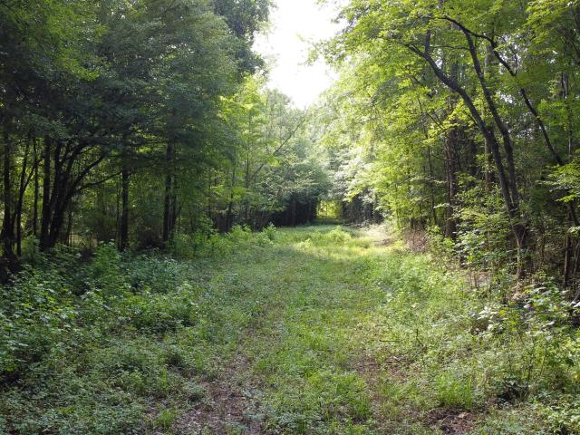 0 Fivel Road