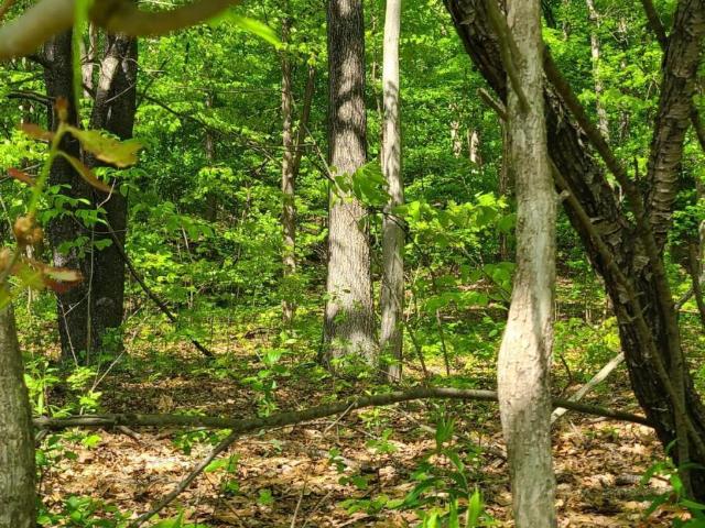 0 Flatbush Rd, West Coxsackie, NY 12192 | MLS #202615