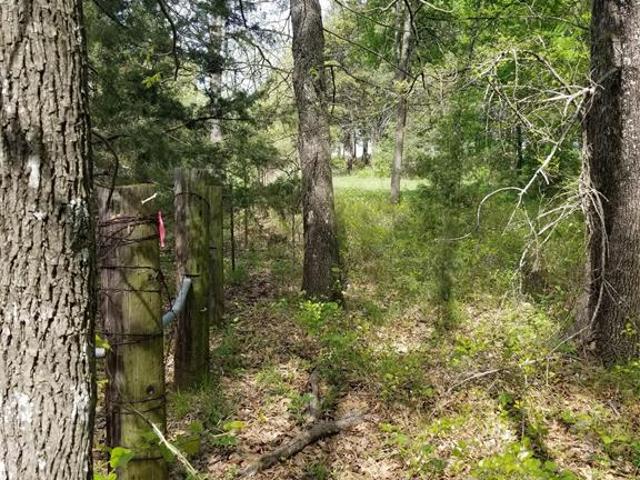 0 Fleming Rd, Bells, TX 75414 | MLS #20575 | Compass